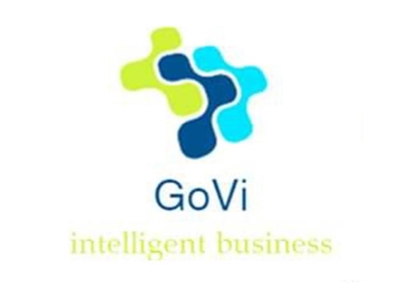 Govi Intelligent Business
