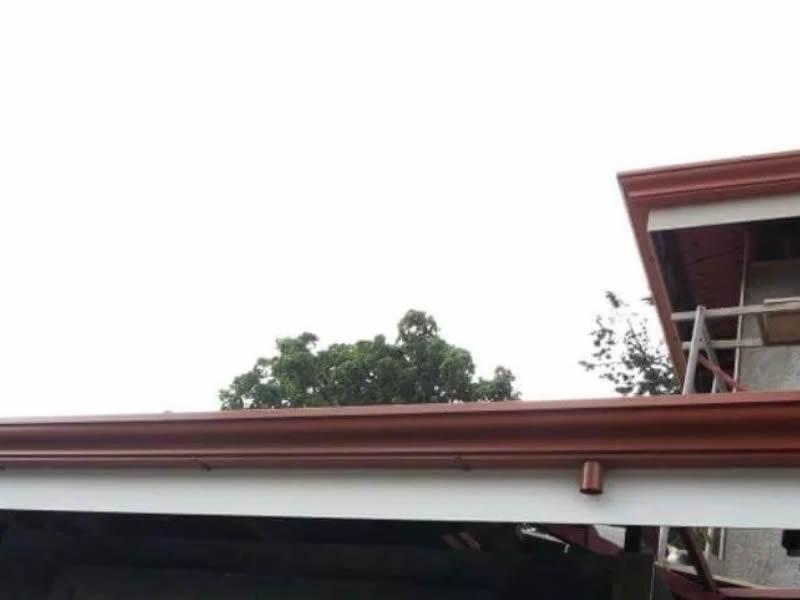 Techos y Canoas Roman